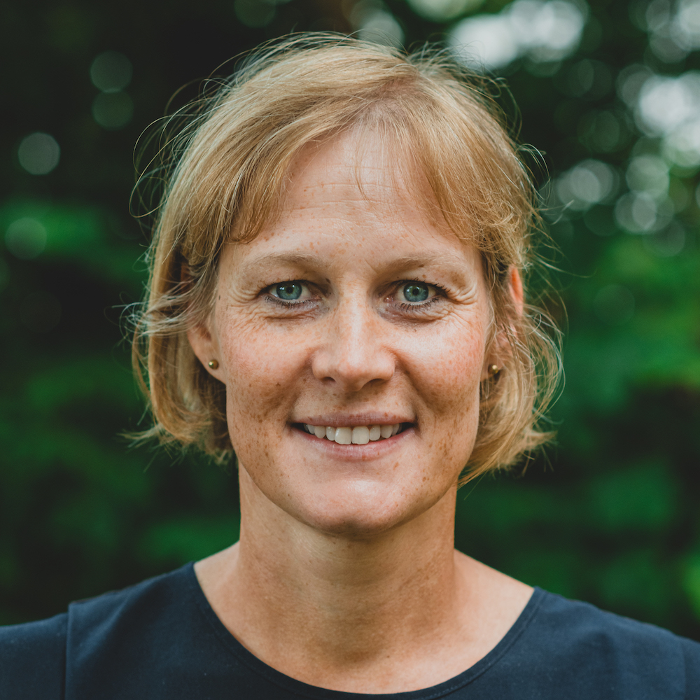 Research team - research group - research